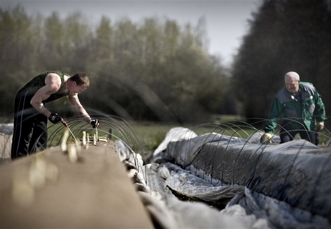 Noord-Limburg Nederlands kampioen aspergeteelt - akkerbouwbedrijf.nl