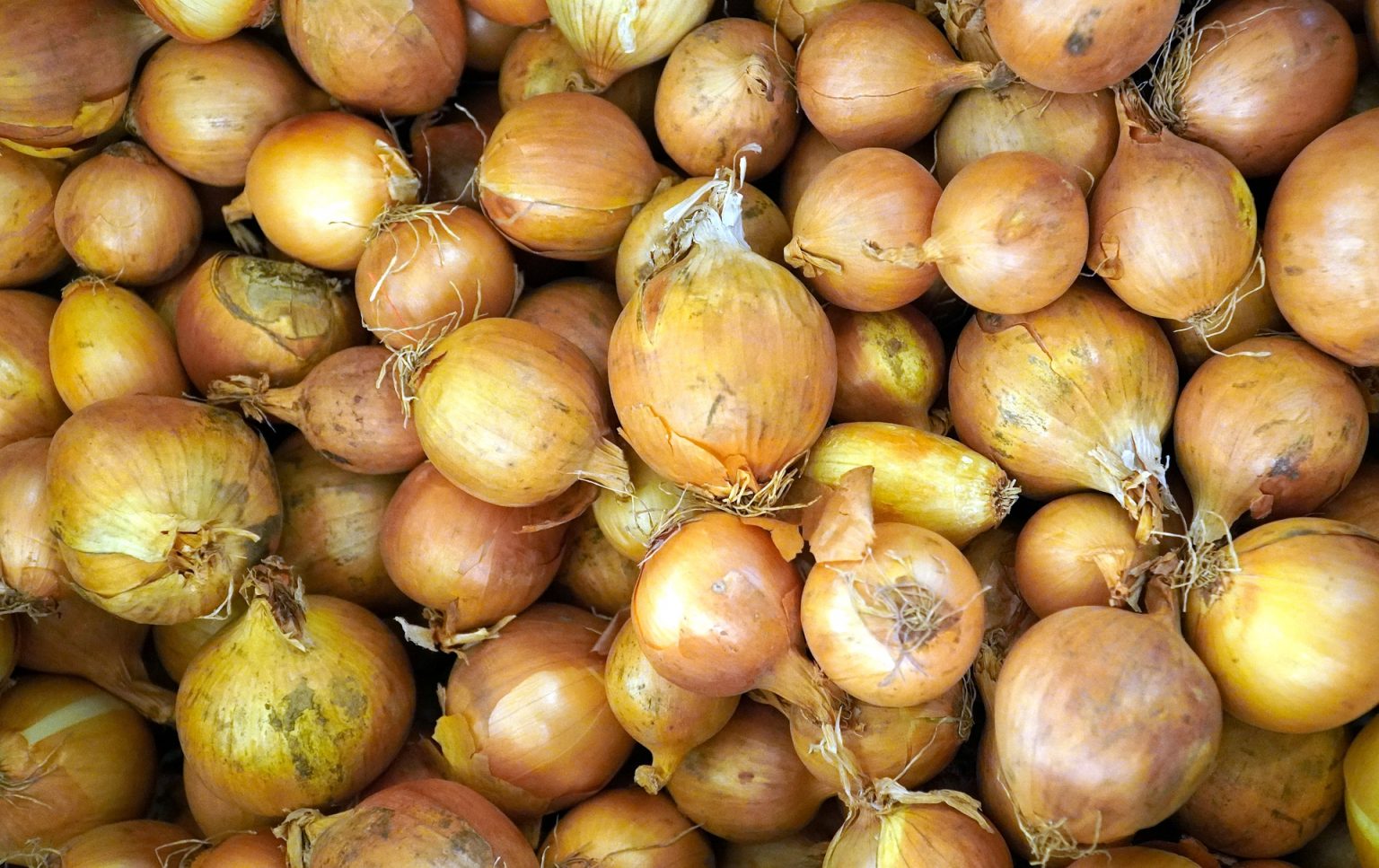 Hoe ontstaat de uienprijs?