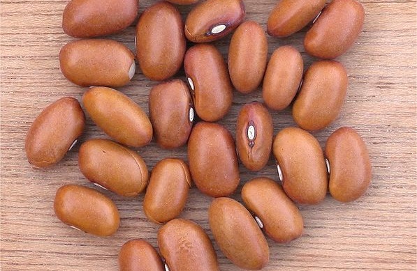 Corona blijkt boost voor bruine boon - akkerbouwbedrijf.nl