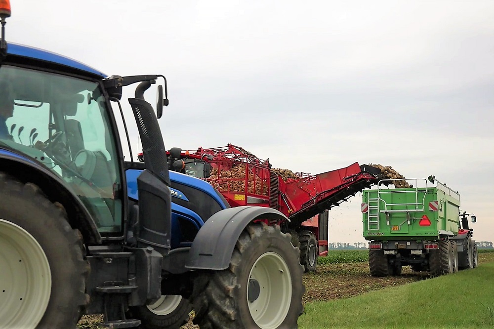 Jos Heeman tevreden over opbrengst van de vroege levering suikerbieten