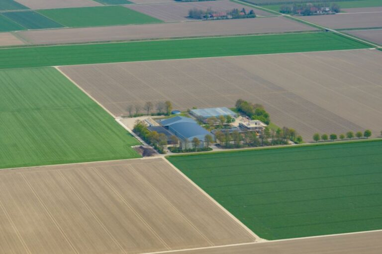 Pachtprijzen landbouwgrond stijgen in 2023 meer dan gebruikelijk